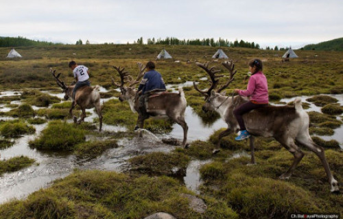 7 days Reindeer Tribes Tour